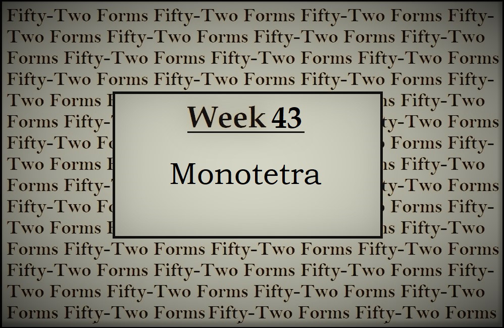 Week Forty-Three: Monotetra – Astra Poetica